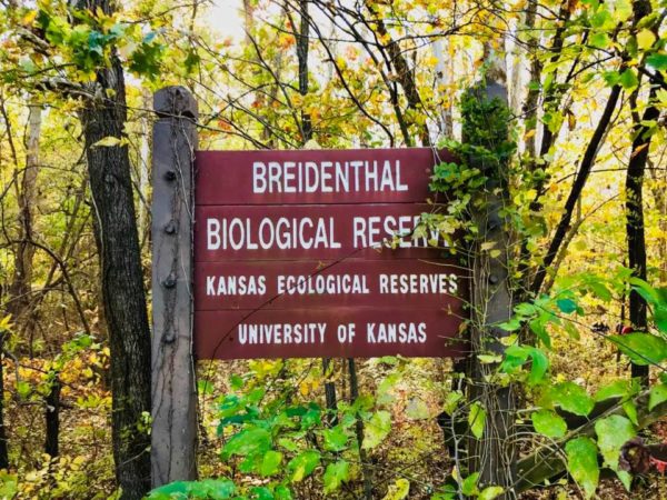 KU_FieldStation_2017 | Myers Lab | Washington University in St. Louis